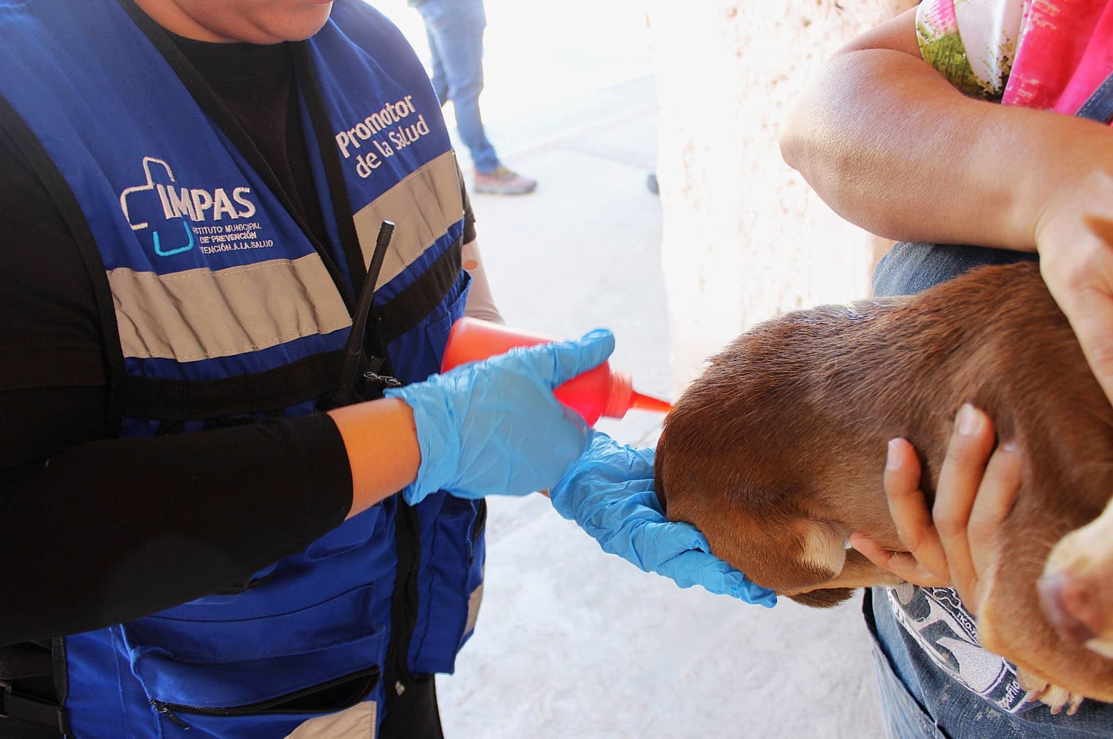 Llevarán “Megapatio de mi Casa” a la Alfredo Chávez y Campesina Nueva ...